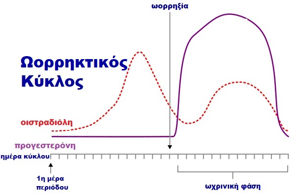 3 Ενδείξεις ότι η Περίοδός σου δεν Είναι Πραγματική Περίοδος ...